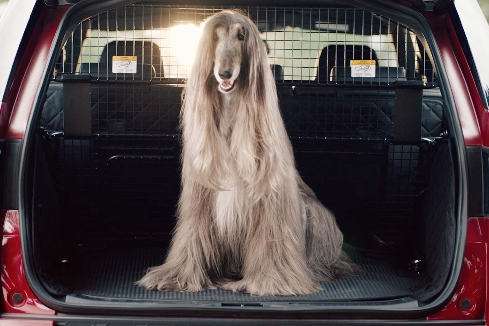 Land Rover Pet Packs make its SUVs more dog-friendly - Motoring Research