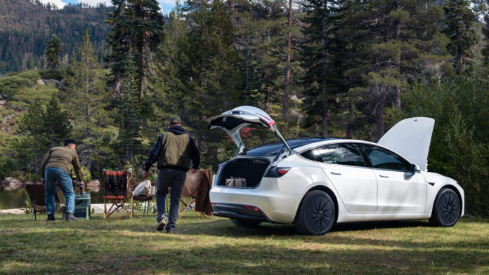 Tesla reveals cut-price Model 3 and Model Y